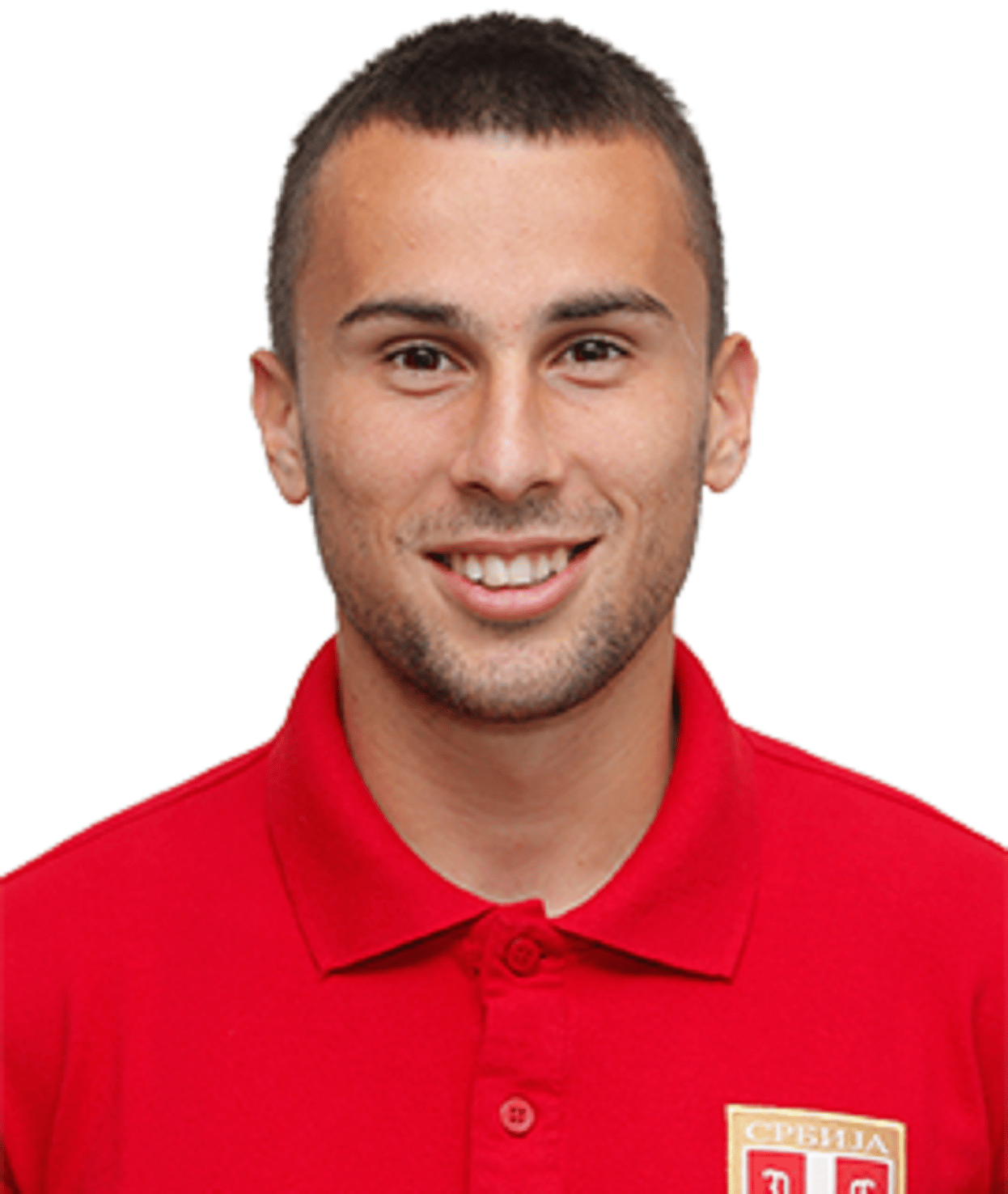 Milan Gajic - Alchetron, The Free Social Encyclopedia