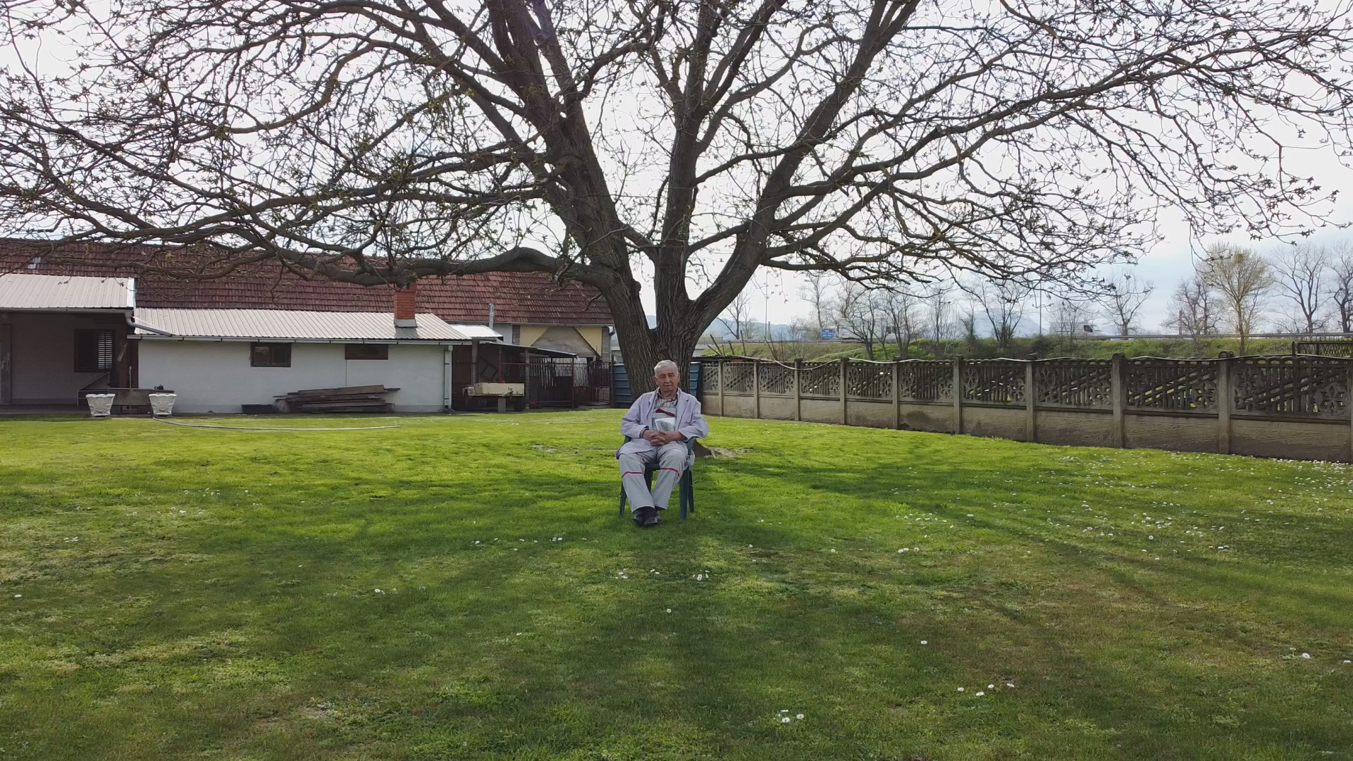 ČUDO PRIRODE I SRPSKI DŽIN: Najveći orah na Balkanu raste u Ljubić ...