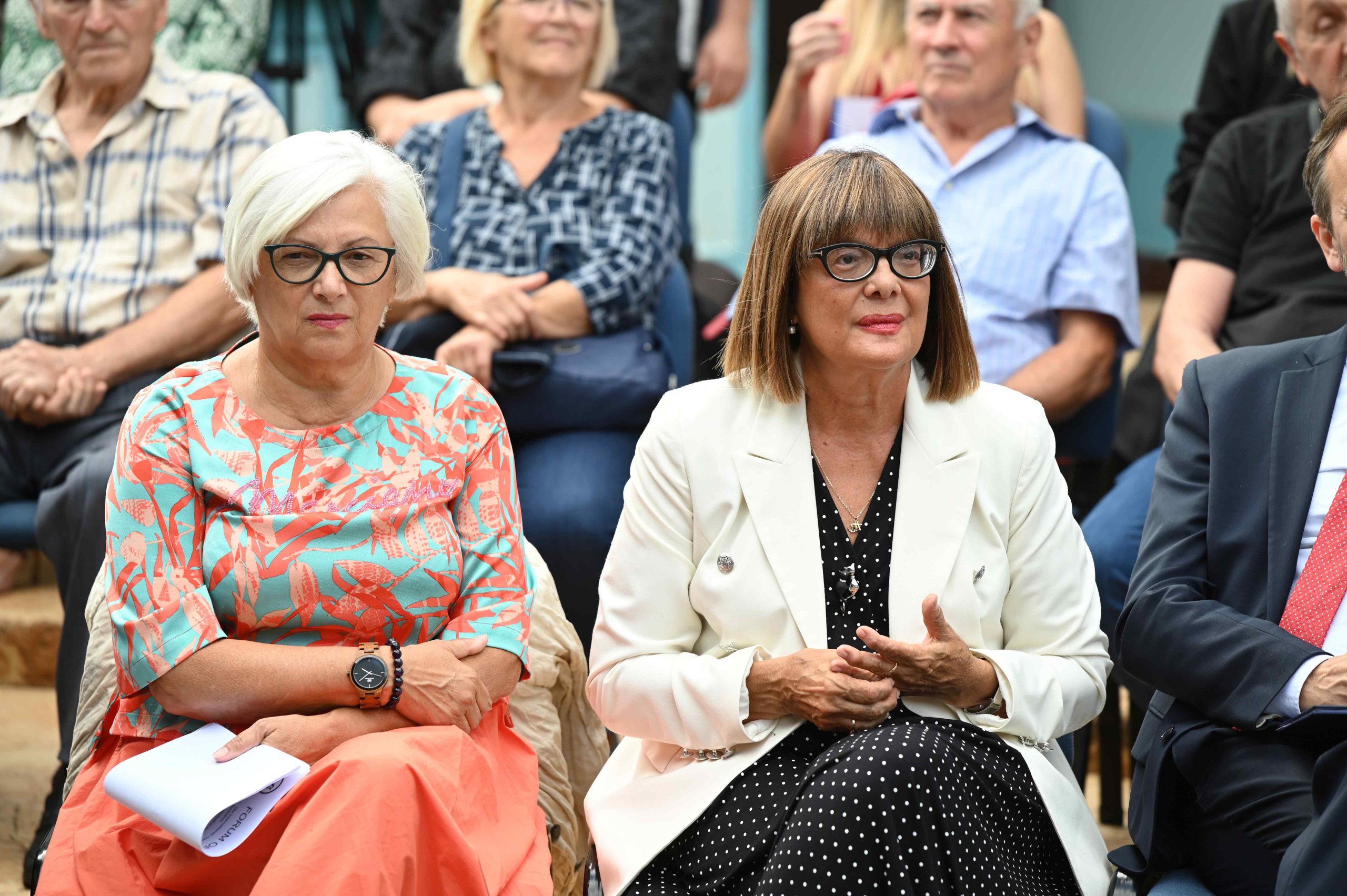 MAJA GOJKOVIĆ U KOVAČICI: Unesko prihvatio kandidaturu slovačkog ...